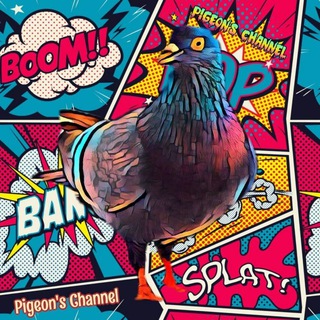 @pigeonschannel - view channel telegram Pigeon's channel