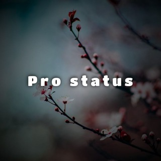 @pro_status: Pro Status🍀