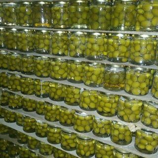 @tuzlangan_dovcha - view group telegram Dovcha G'o‘ra